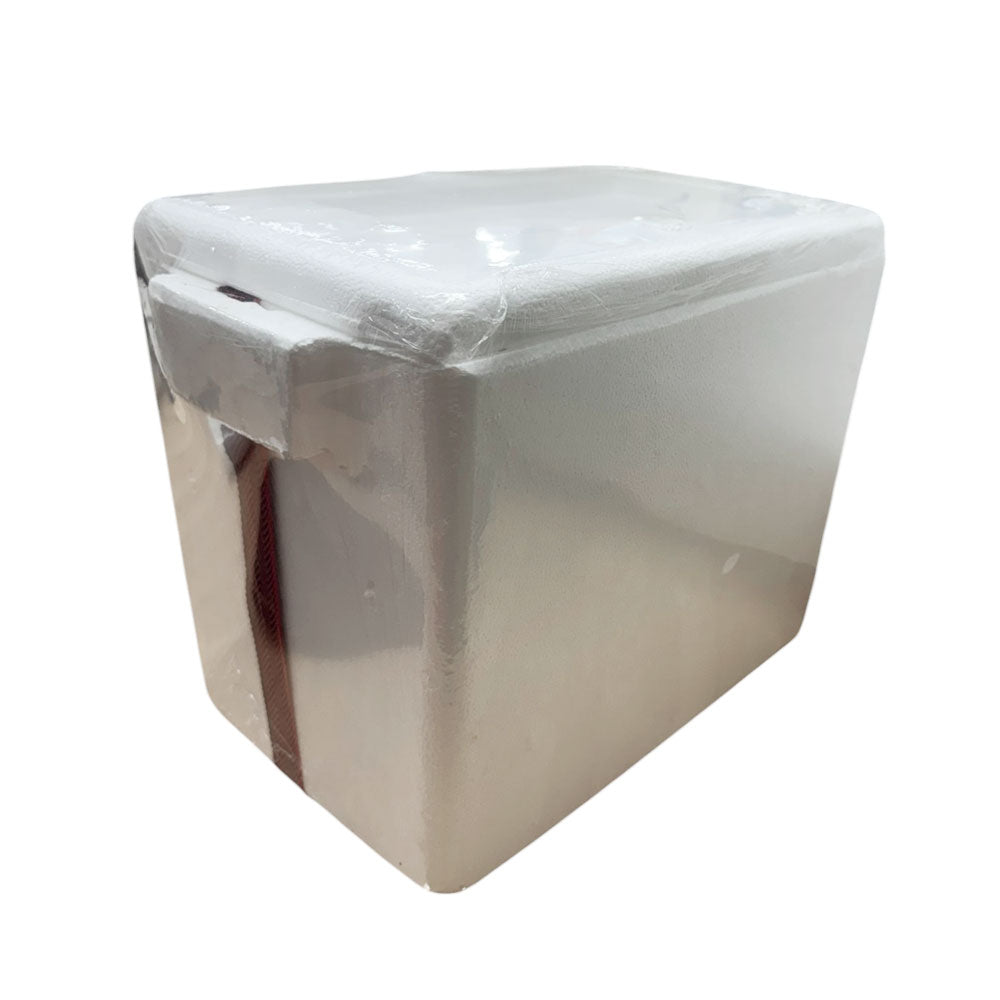 Termo Nevera de Icopor 15 Litros / Moldex / Almacenes La 13 – Cristalería La 13